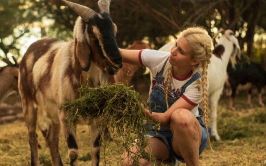 Contra el maltrato animal: Connie Isla, la instagramer que une el arte ...
