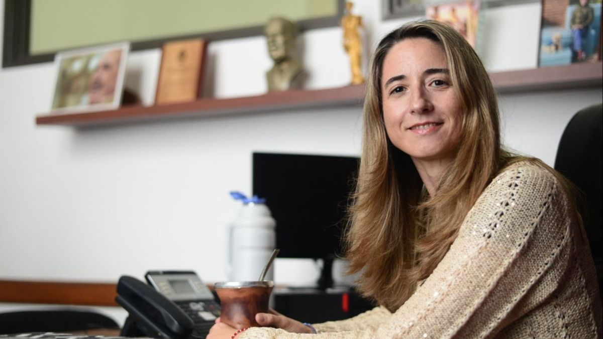 Flavia Delmonte, senadora provincial: "Facundo Manes está dando bien en ...