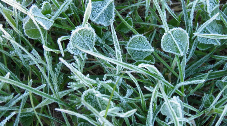 Frío intenso y muchas heladas: así será el tiempo durante invierno en ...