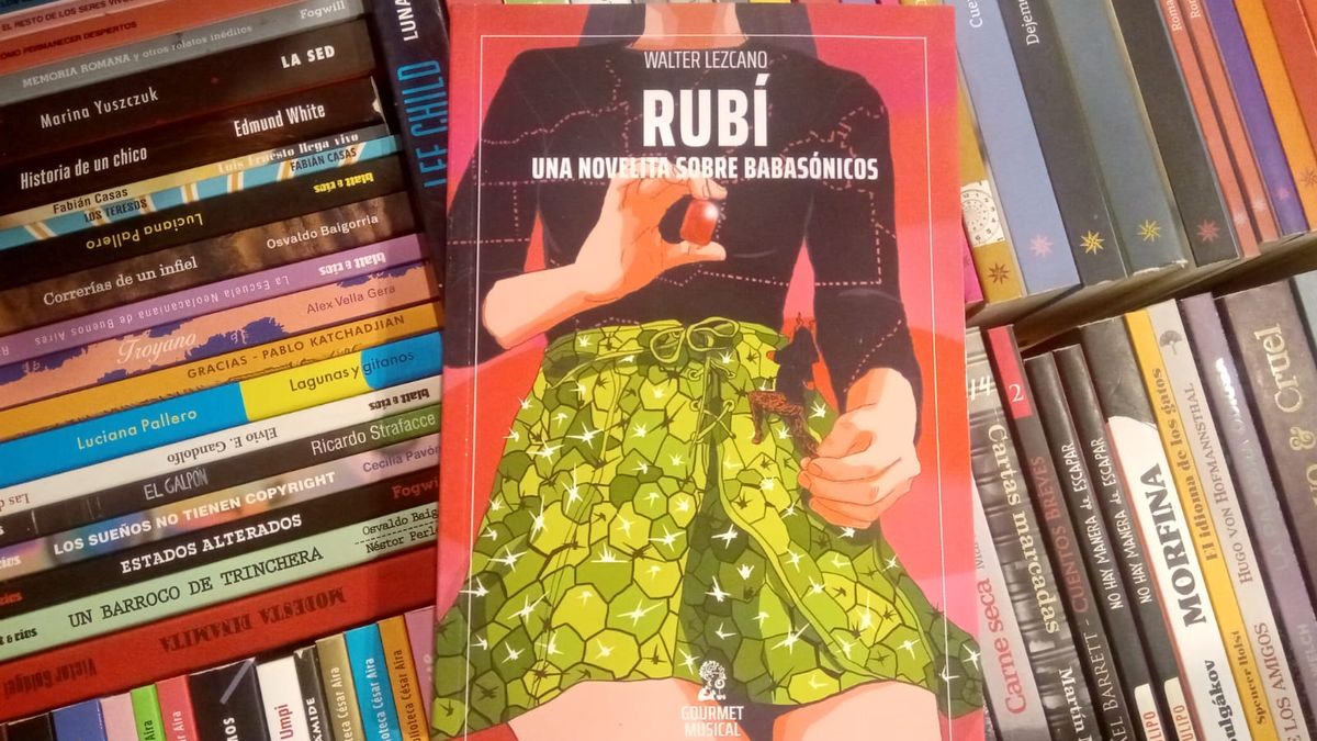 Walter Lezcano, autor de "Rubí. Una novelita sobre Babasónicos" | Infocielo