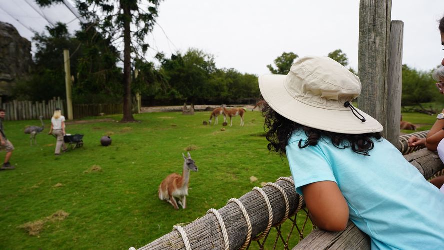 Recorridos, charlas y avistajes: todas las actividades del Bioparque ...